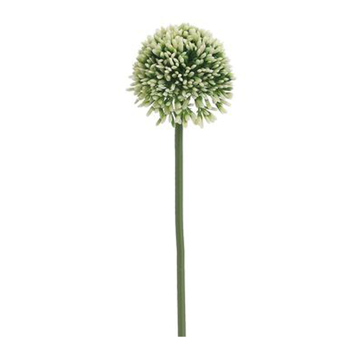 Allium Cream Green 17.5" – Fauxever Florals